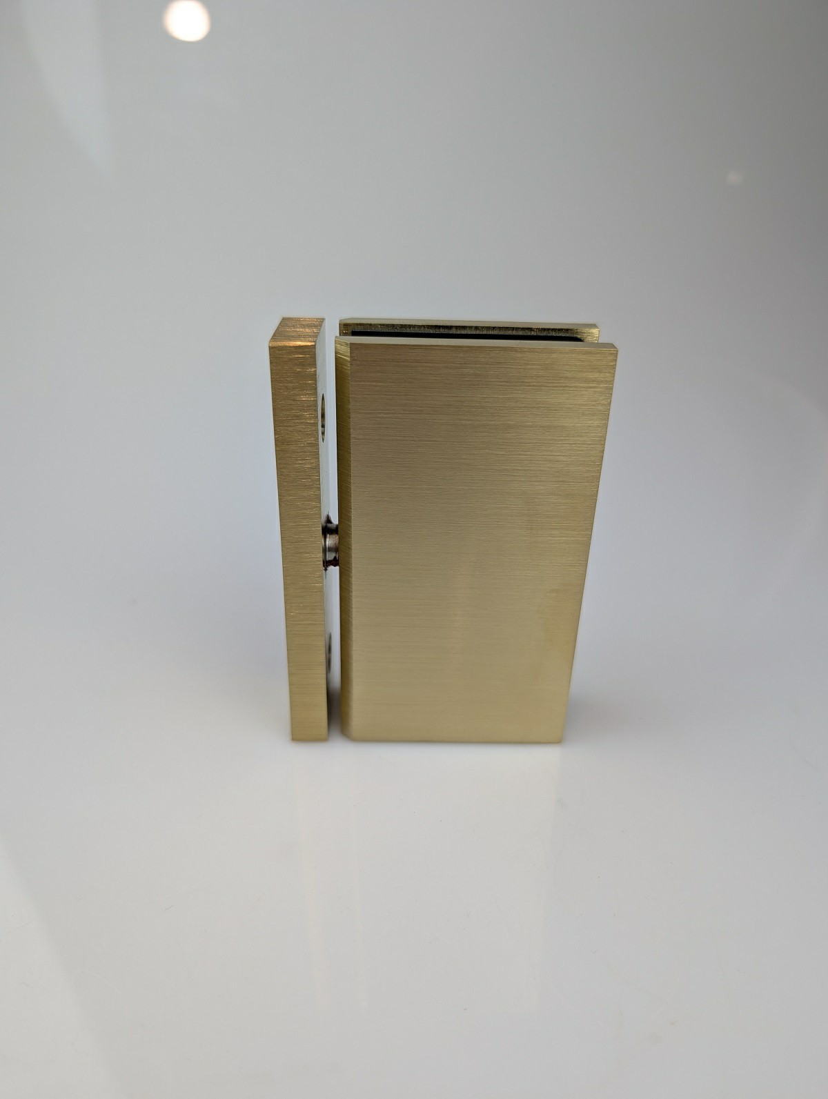 BOS100 BG - Boston 100 Series - Top or Bottom Shower Screen Pivot Hinge ...